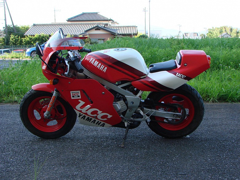 1988 Yamaha YSR50 UCC Colors YSR 50 - RMD Motors
