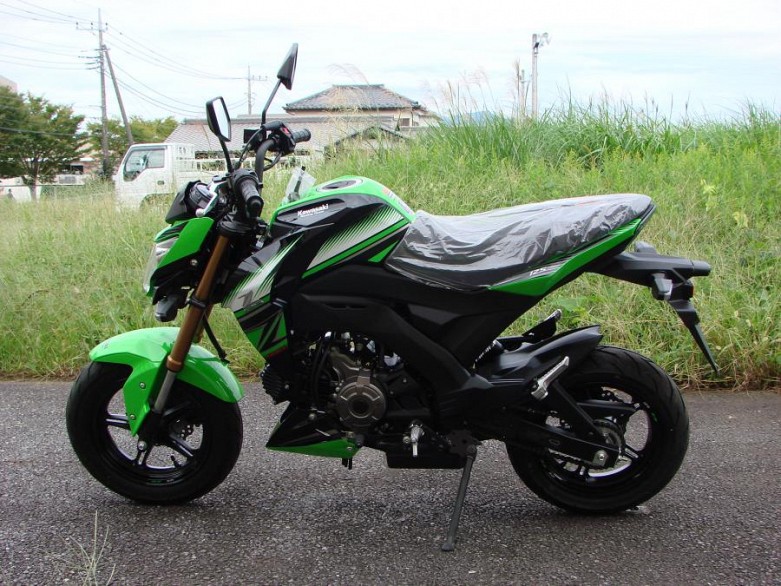 2016 Kawasaki Z125 Pro KRT Edition - RMD Motors