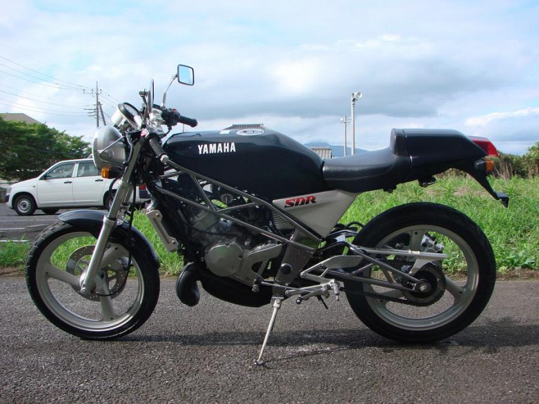 1987 Yamaha SDR200 - RMD Motors