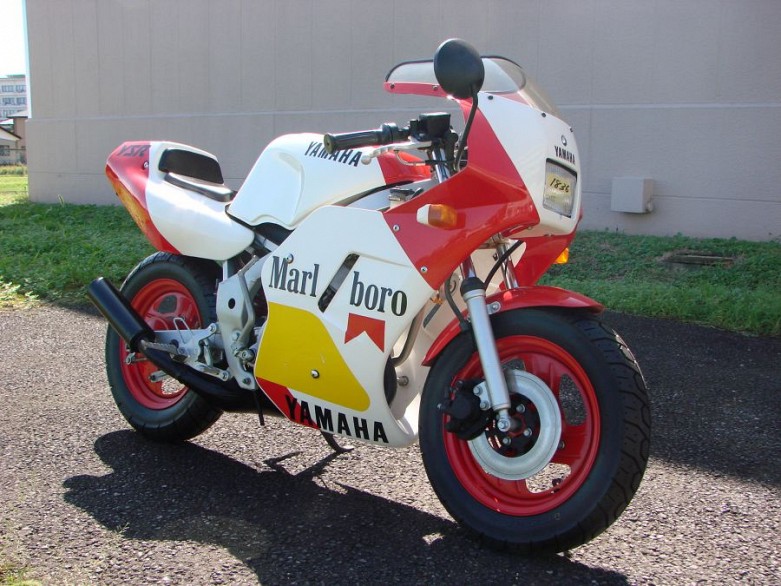 1986 Yamaha YSR50 Marlboro Edition - RMD Motors